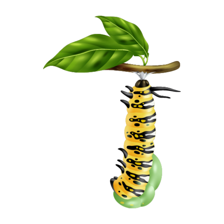 Digital Sustainability Maturity Model(DSMM) – Coding Solutions to ...
